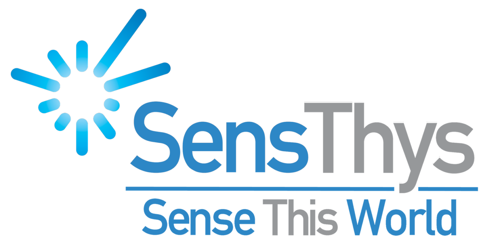 Home SensThys, Inc. - Engineered Simplicity - Game-Changing RFID System Solutions